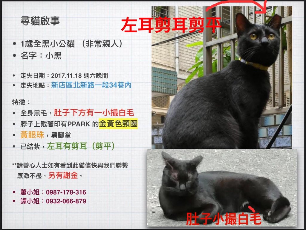 吉 醬 【尋貓啟事】代po 走失日期:20171118六晚間走失地點:新店區北新路一段34巷內朋友的朋友的貓咪不見了,一歲全黑小黑貓,特徵如圖,再麻煩住附近的朋友留意一下,謝謝